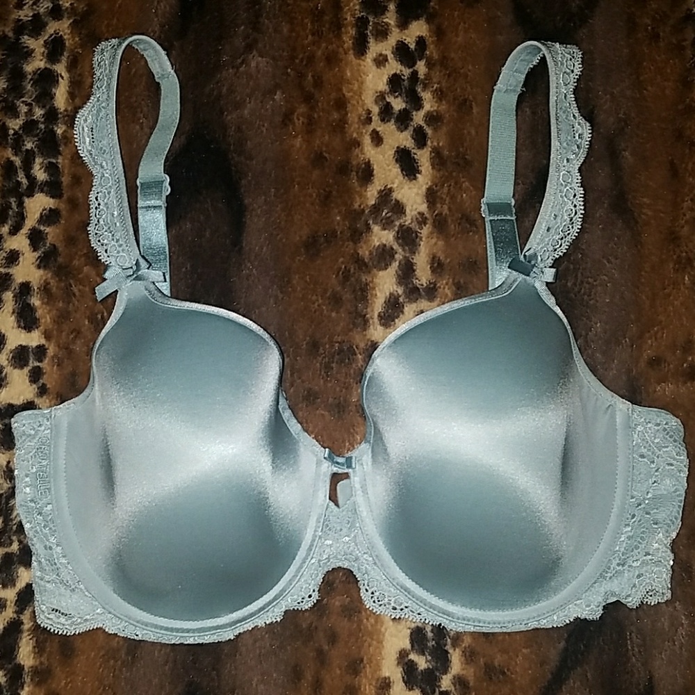 Chantelle 34dd/34e Light Blue Bra - Gem